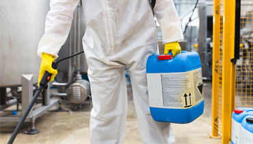 Extermination Services | Ludlow, MA | Atlantic Exterminating
